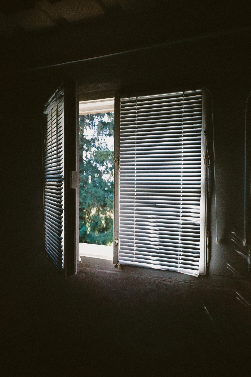 How Plantation Shutters Improve Energy Efficiency in Australian Homes - Ever Guide